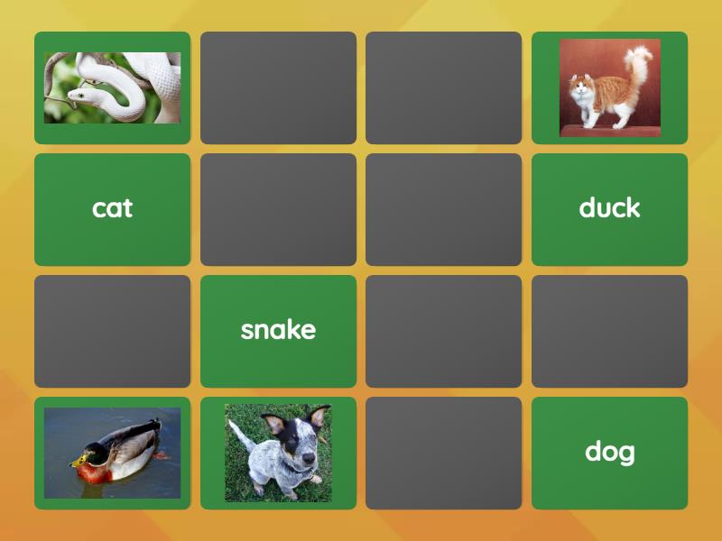 beehive 1 - Matching pairs