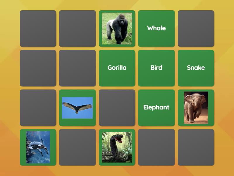 Summer- 1, Lesson 26 (Tr. Myat Lay) - Matching pairs