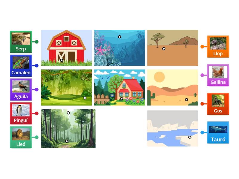 Habitat - Labelled diagram
