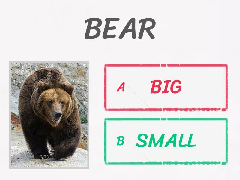 Big or small - Version - Quiz