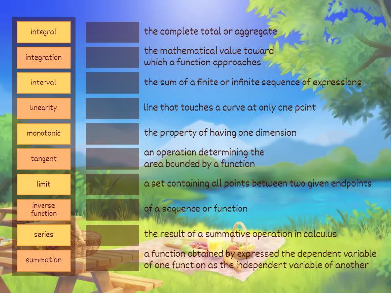 Calculus Vocabulary II - Match up