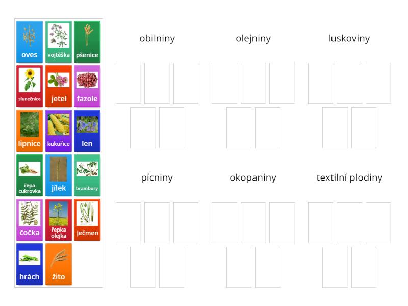 Užitkové rostliny - třídění skupin - Group sort