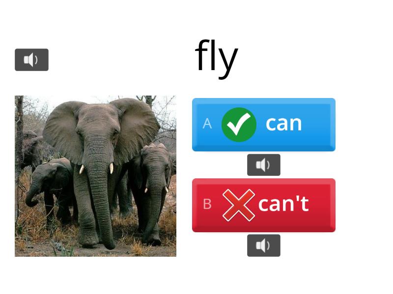 CAN/CAN'T)))))))) - Cuestionario