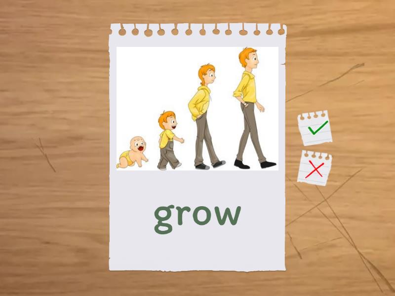 Life events - Flash cards