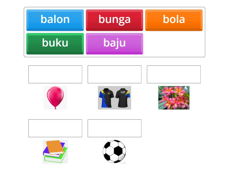 memasangkan kata dengan gambar - Match up