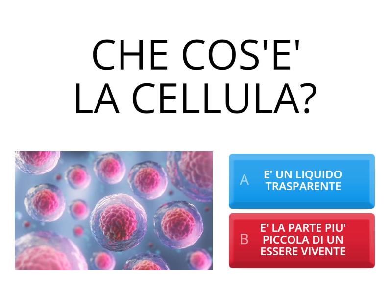 LA CELLULA - Quiz