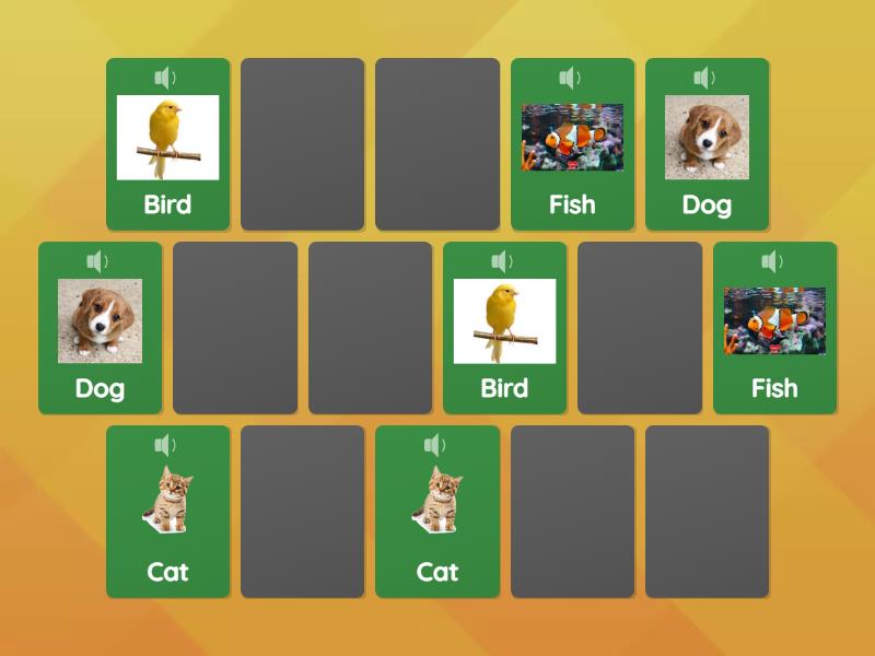 Pets - Matching pairs
