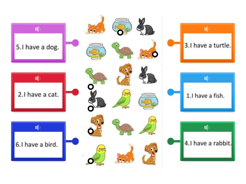 I have a pet - Labelled diagram