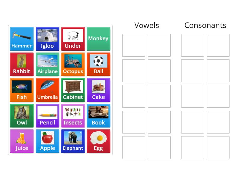 Classify Vowel and Consonant Initial Sounds - Group sort