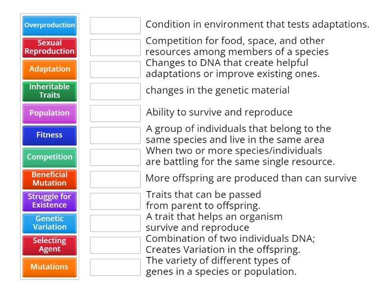 Natural Selection Vocabulary - Match up