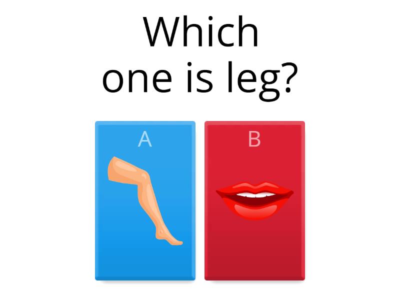 My body - Quiz
