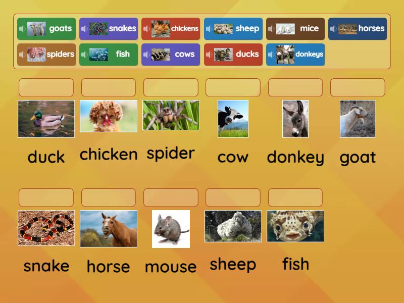 Bright Ideas 1 Unit 4 plural animals - Match up