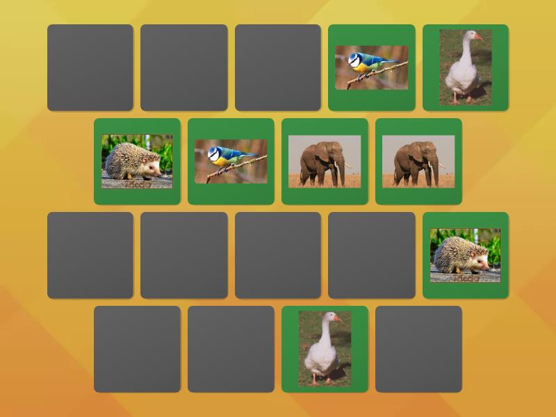 Gioco memory - Parejas