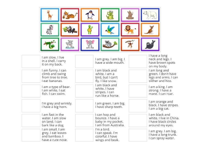 Zoo Animals Riddles - Match up