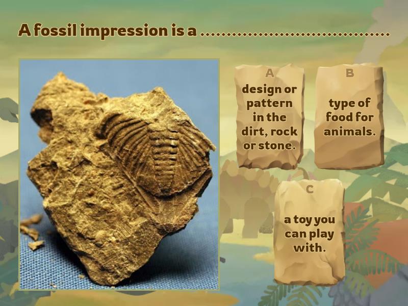 Fossils - Y3 - Quiz