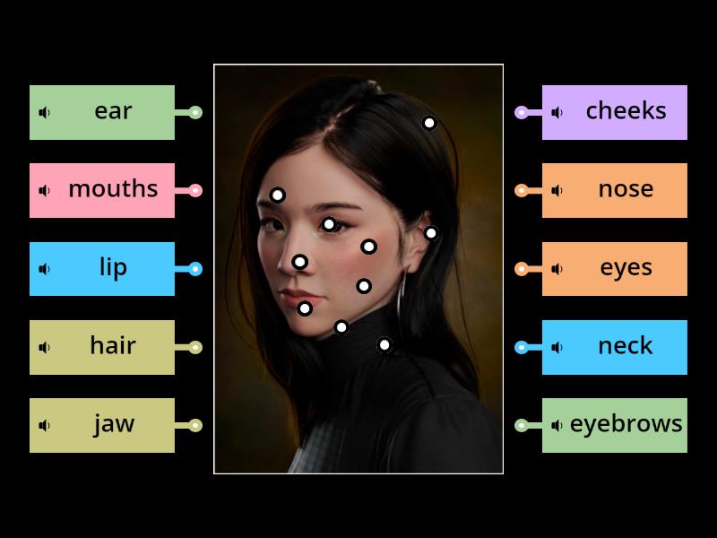 Parts of head - Labelled diagram