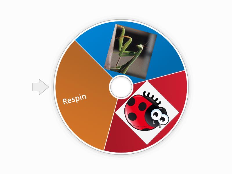 Bug spinner - Spin the wheel