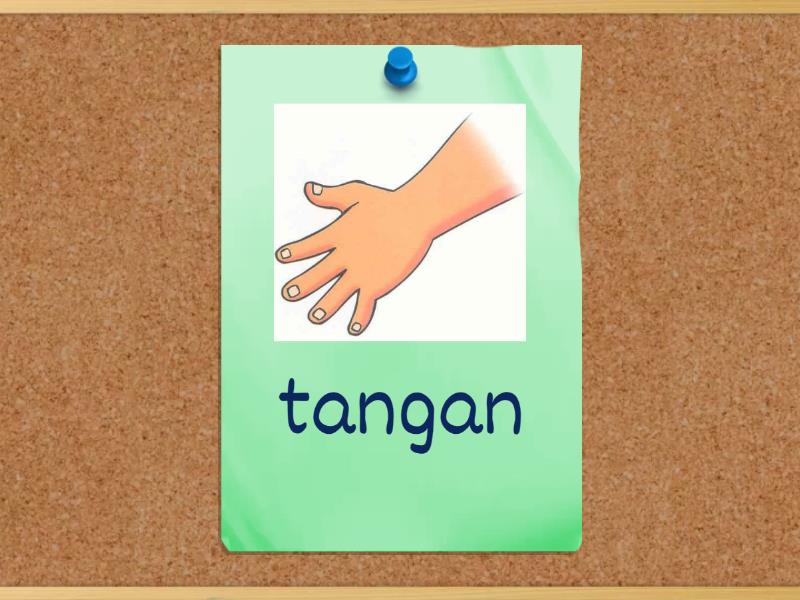 asyiknya mencari huruf yang sama - Flash cards