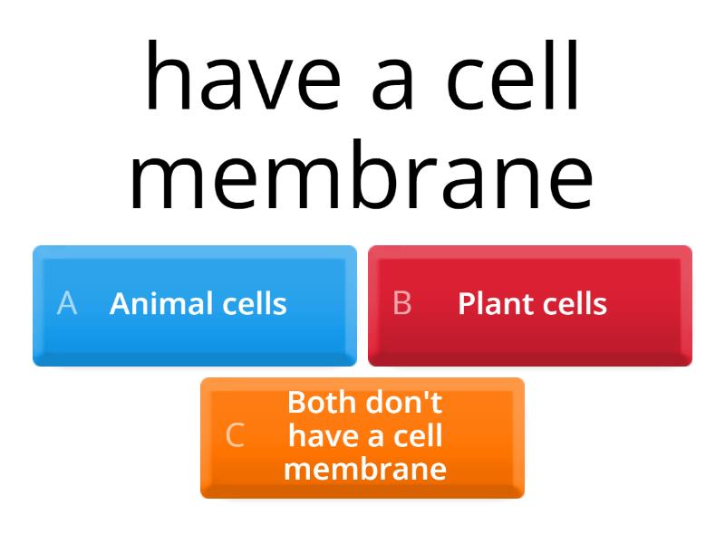 6I1-﻿Comparing plant and animal cells - Quiz