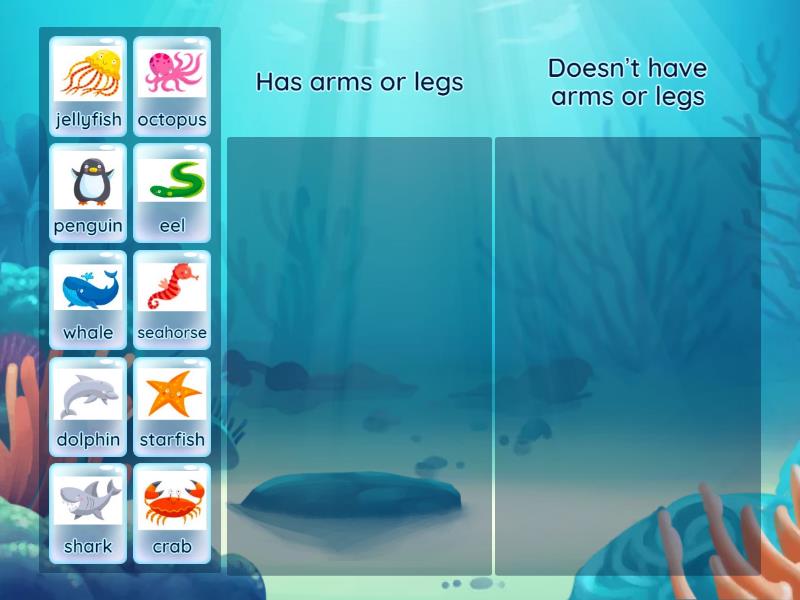 AS3 | Unit 6 Under the sea - Categorize