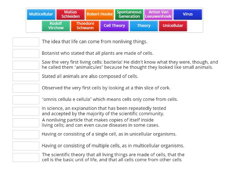 Cell Theory (Lesson 4) - Match up