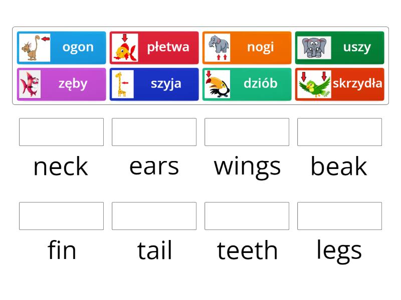 NEA 2 - Animal Body Parts - Match up