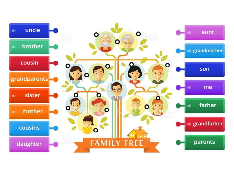 Family Names - Labelled diagram