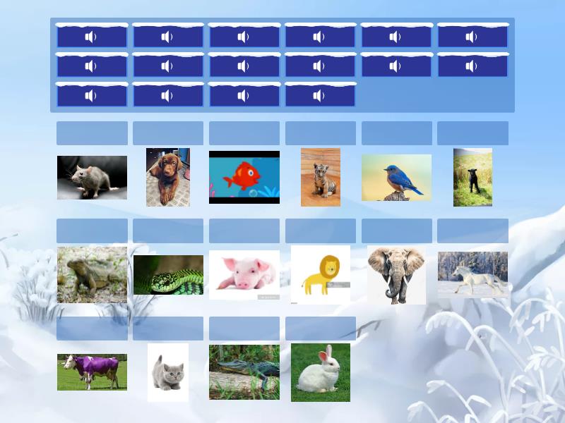 Les Animaux et Les Couleurs - Match up