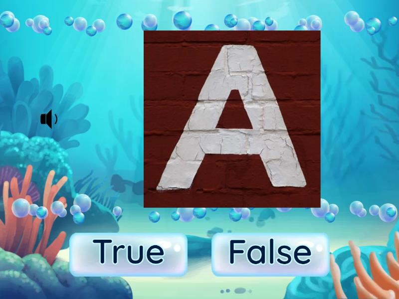 letters 1st grade - True or false