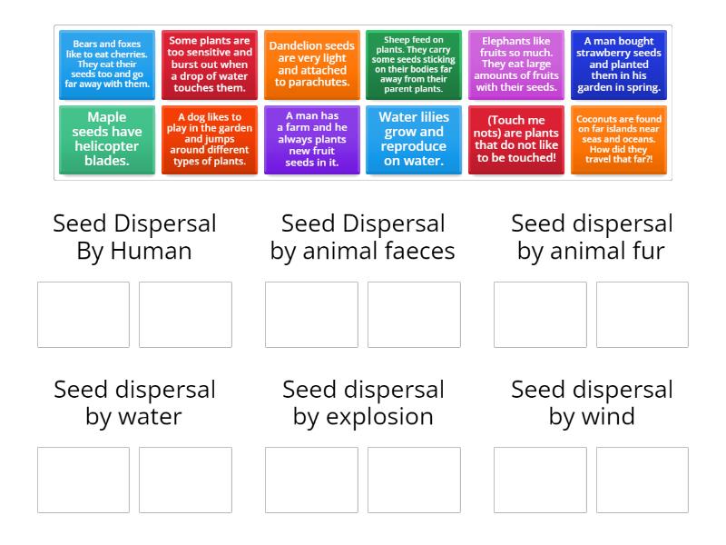 Seed dispersal By.. Final Revision - Group sort