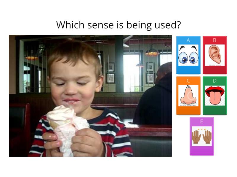 More five senses - Quiz