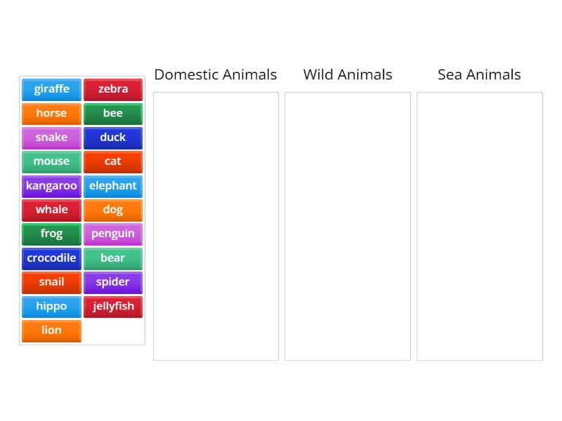 Amazing Animals _ Vocabulary_ - Categorize