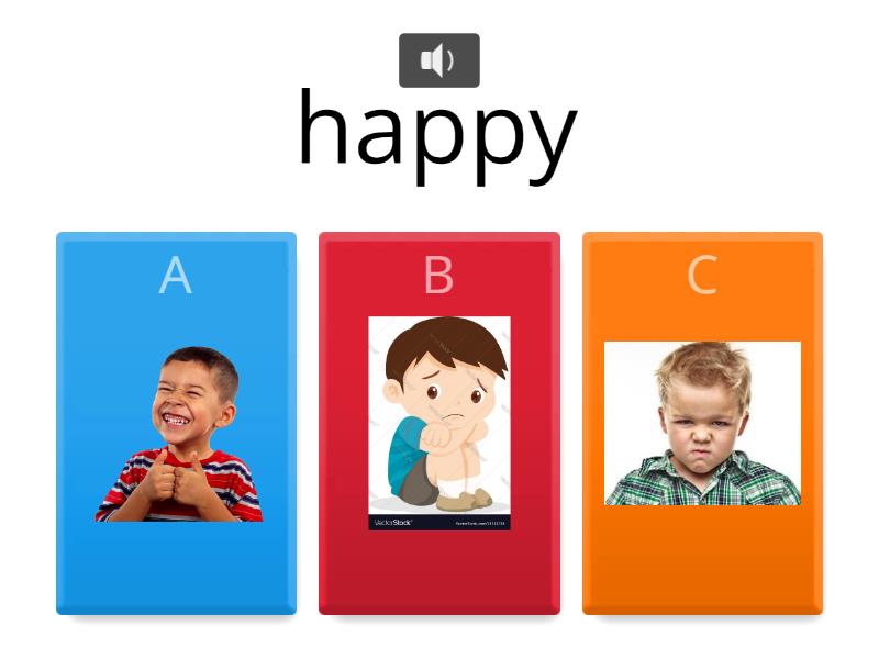 (14) Emotions and feeling MLC - Quiz