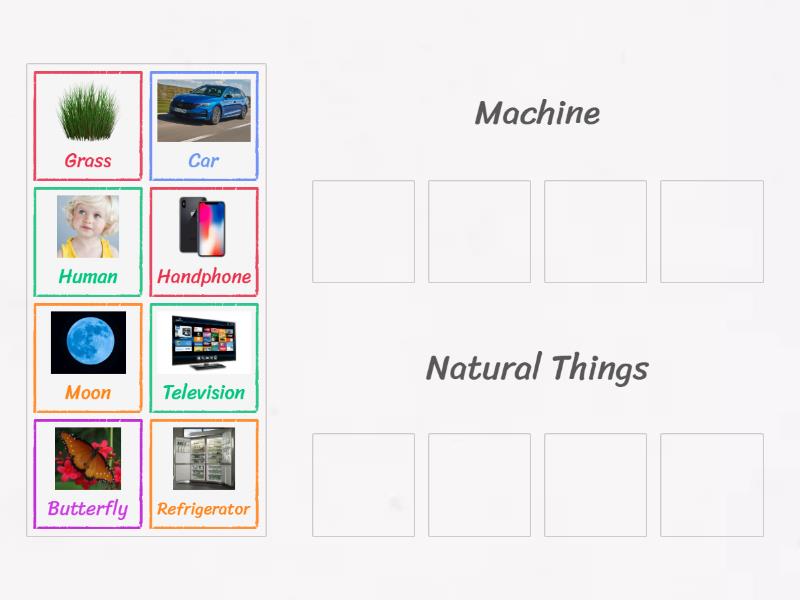 Machine or Natural Things - Group sort