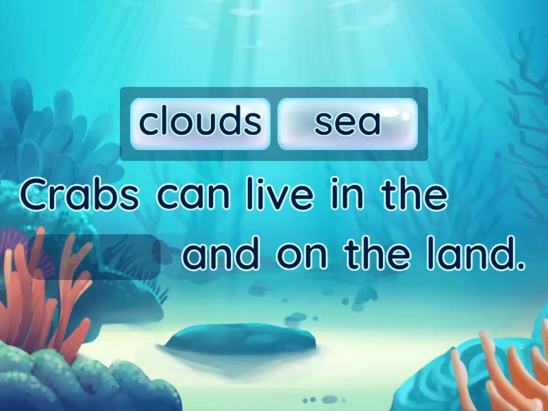 Crab Facts - Complete the sentence