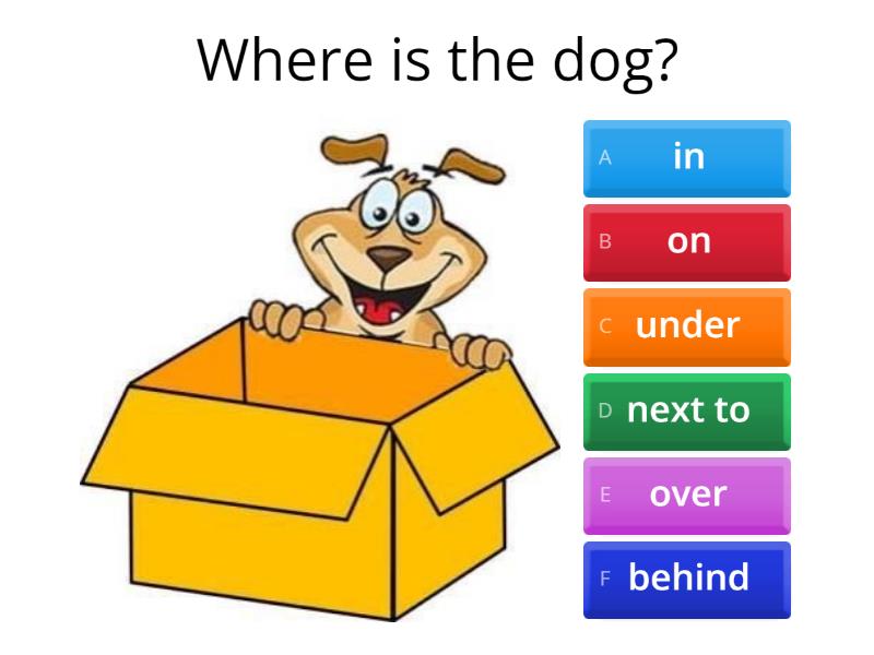 Prepositions - in on under next to over - Quiz