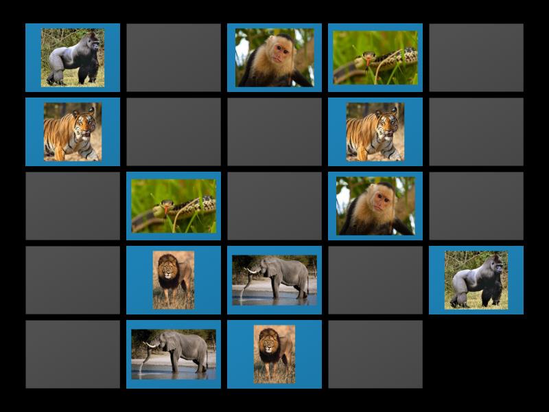 Wild animals - Matching pairs