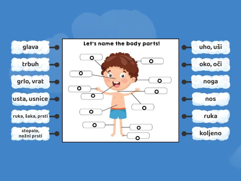 Repeating - body parts - Labelled diagram