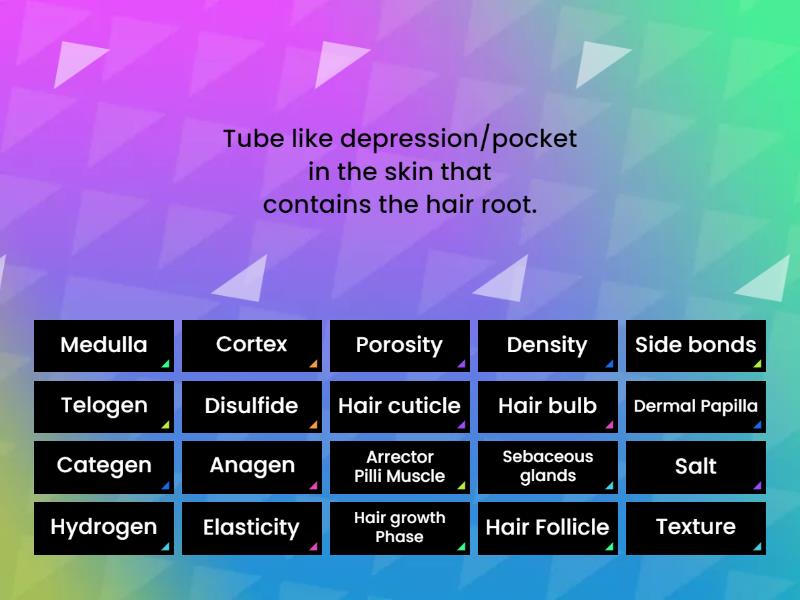 DEPTH Properties of the hair and scalp - Find the match