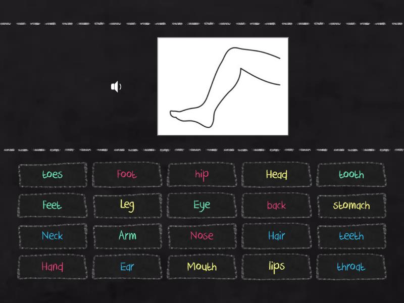 Parts of the body and Pronunciation - Find the match