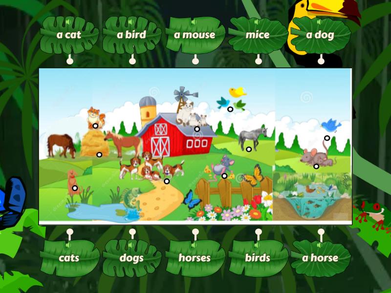 K B 1 unit 5 pets singular/plural - Labelled diagram