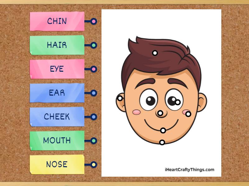 PARTS OF THE FACE - Labelled diagram