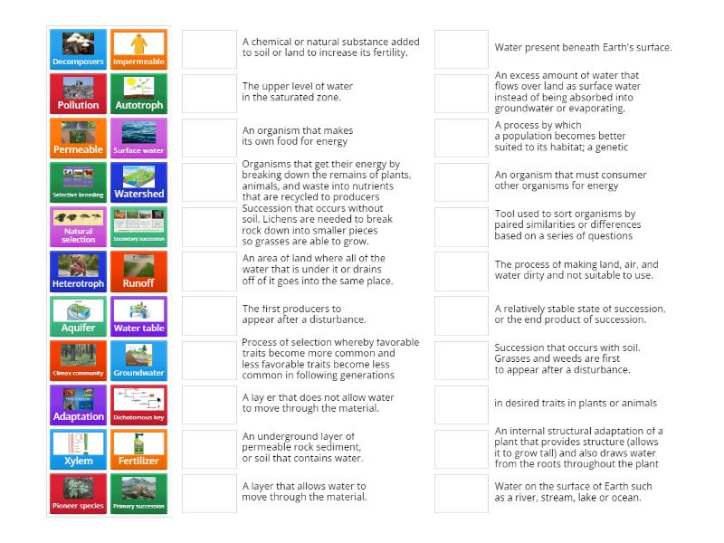 Watershed vocabulary and more - Match up
