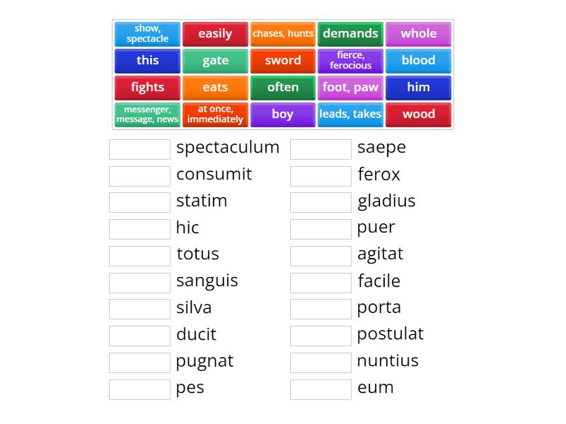 CLC: Stage 8 Vocabulary - Match up