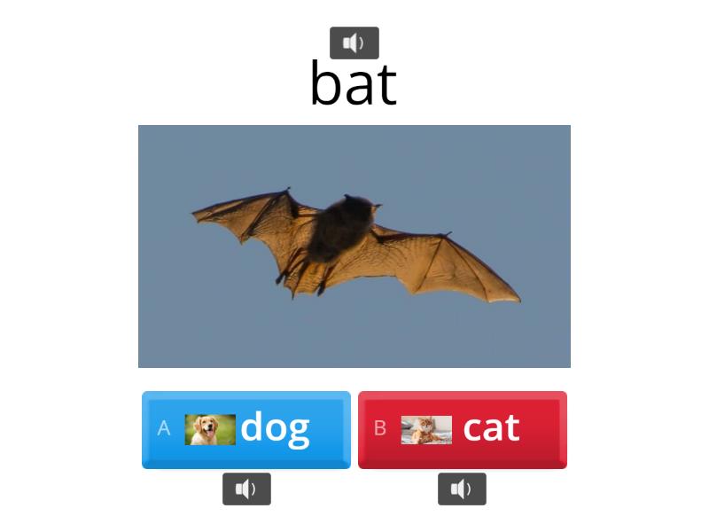 Aspect 4: Missing Rhyme - Quiz