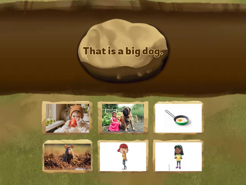 Unit 5, Week 1 - Find the match