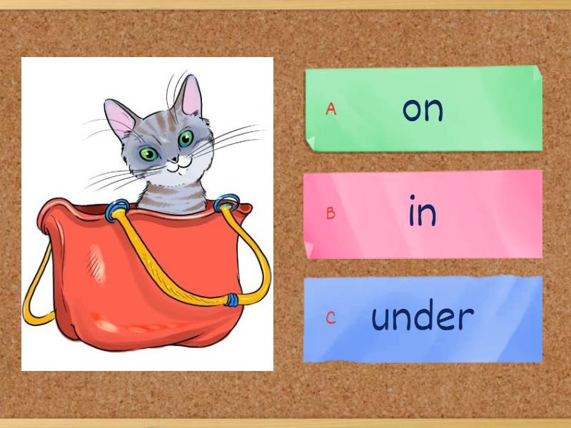 prepositions in/on/under + cats - Quiz