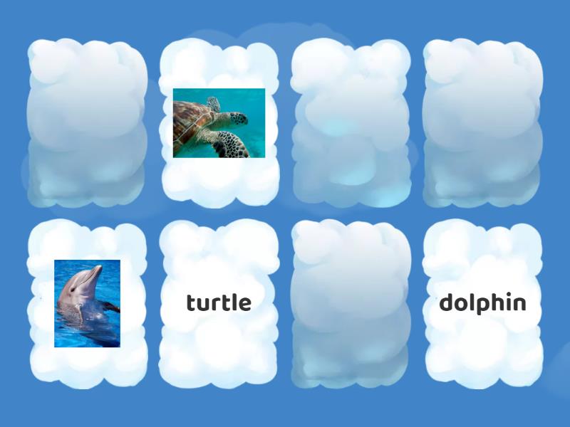 sea animals - Matching pairs