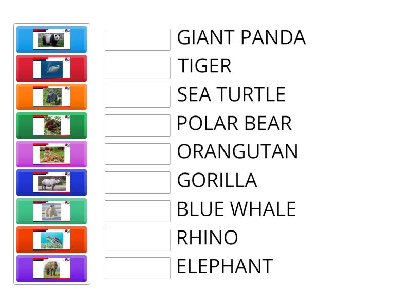Endangered Animals - Match up