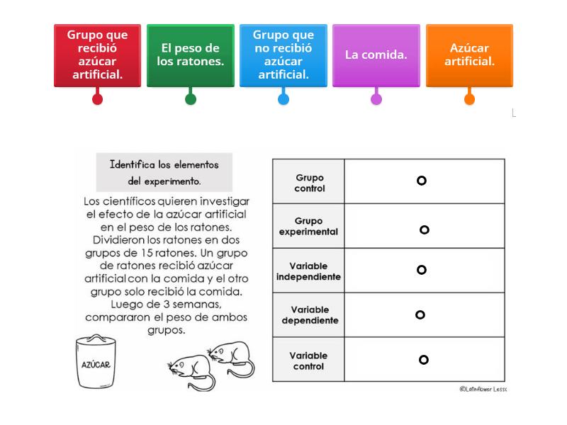 Identifica los elementos de un experimento - Labelled diagram